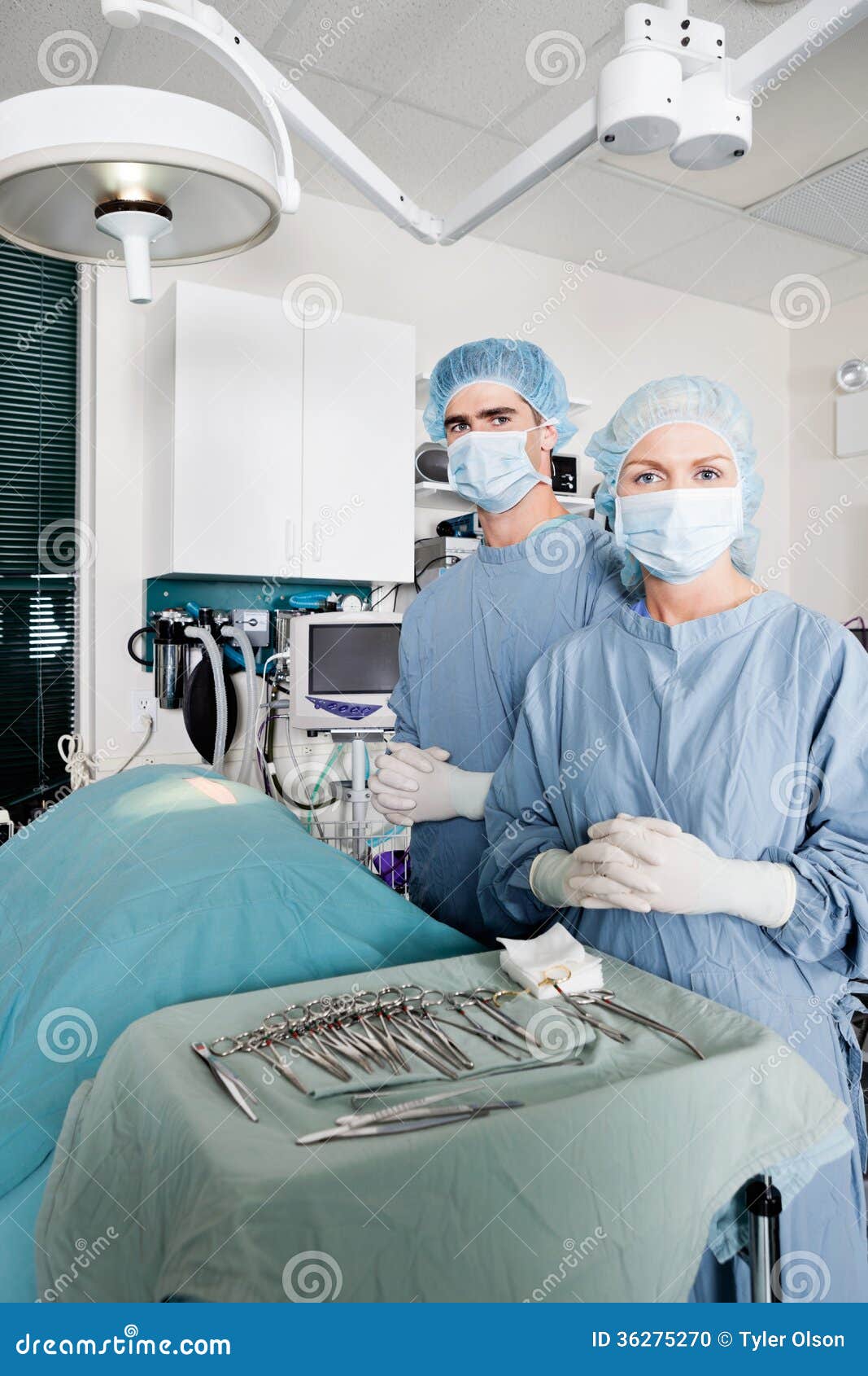 Veterinarian Surgeons in Operating Room Stock Photo - Image of clinic ...