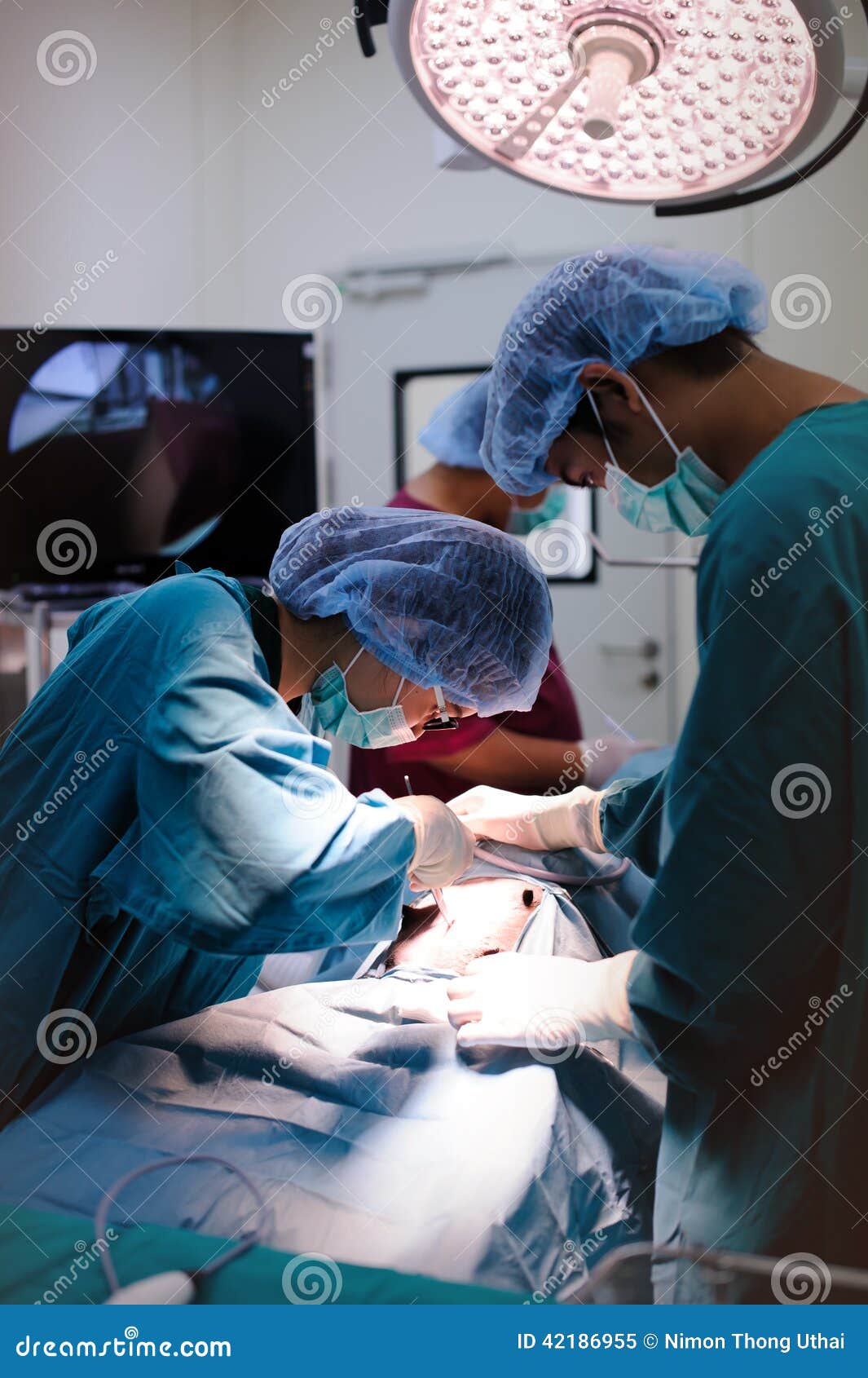 Veterinarian Surgeons in Operation Room Stock Image - Image of ...