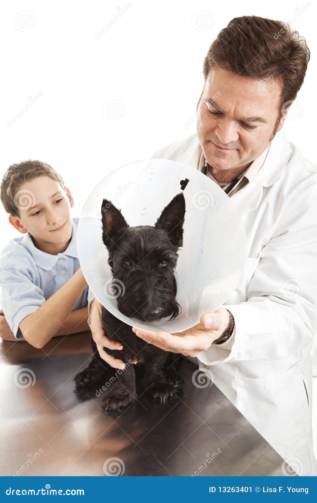 Veterinarian Treating Dog stock image. Image of medical - 13263401