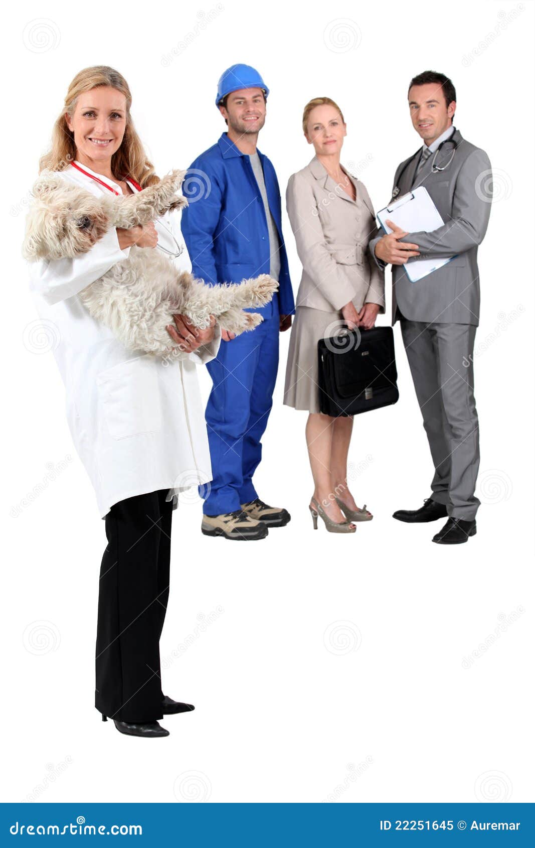 Teamwork Veterinarian Examining The Dog Stock Photo | CartoonDealer.com ...