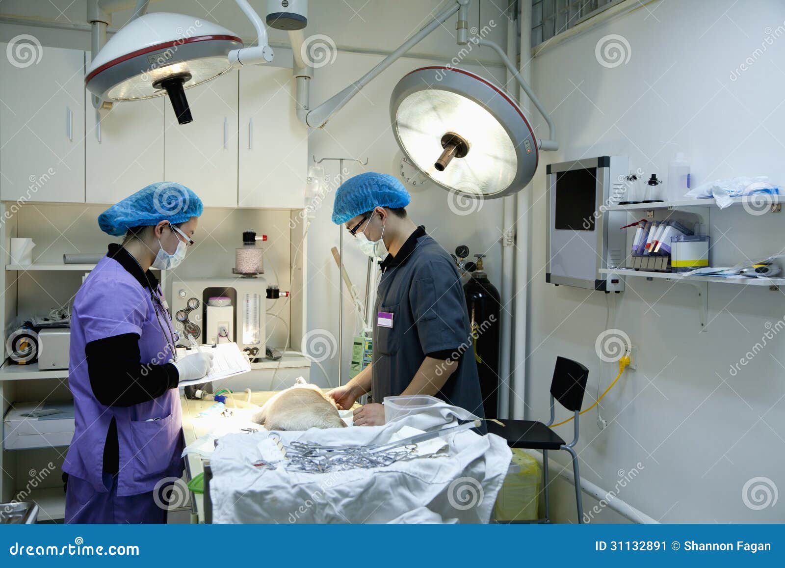 Veterinarians with Dog on Operating Table Stock Image - Image of ...