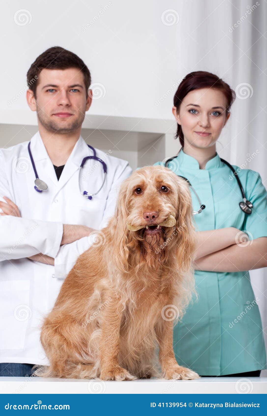 Veterinarians with dog stock photo. Image of hospital - 41139954