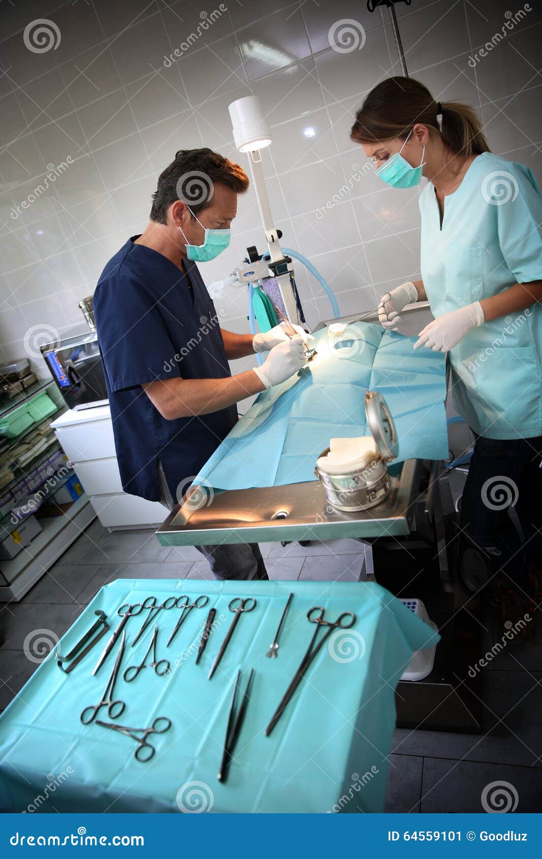 Veterinarians in Operating Block Working Stock Image - Image of surgeon ...