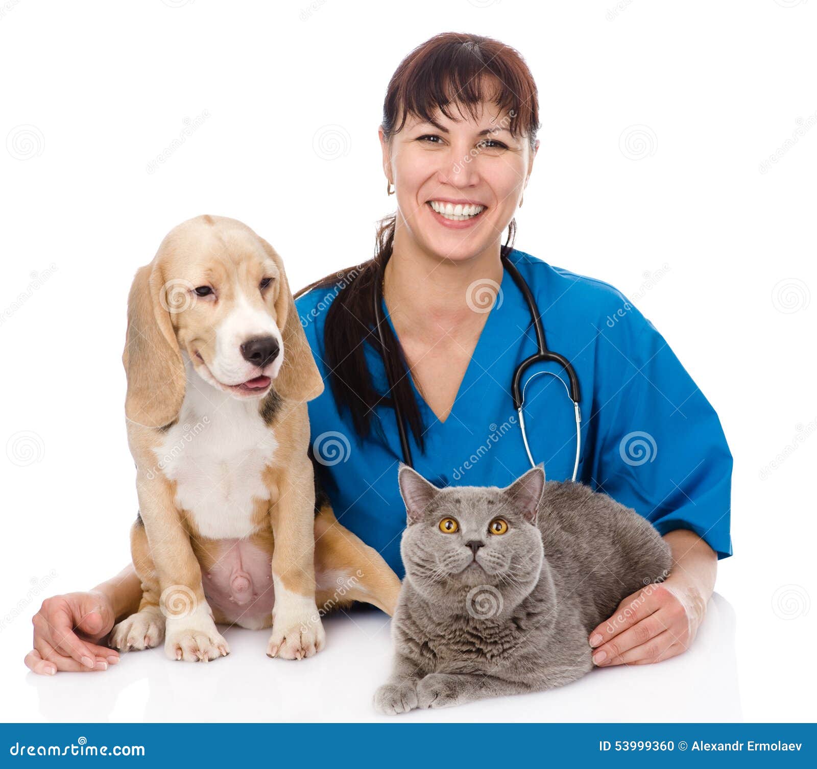 Veterinario Di Risata Che Abbraccia Gatto E Cane Isolato Fotografia ...
