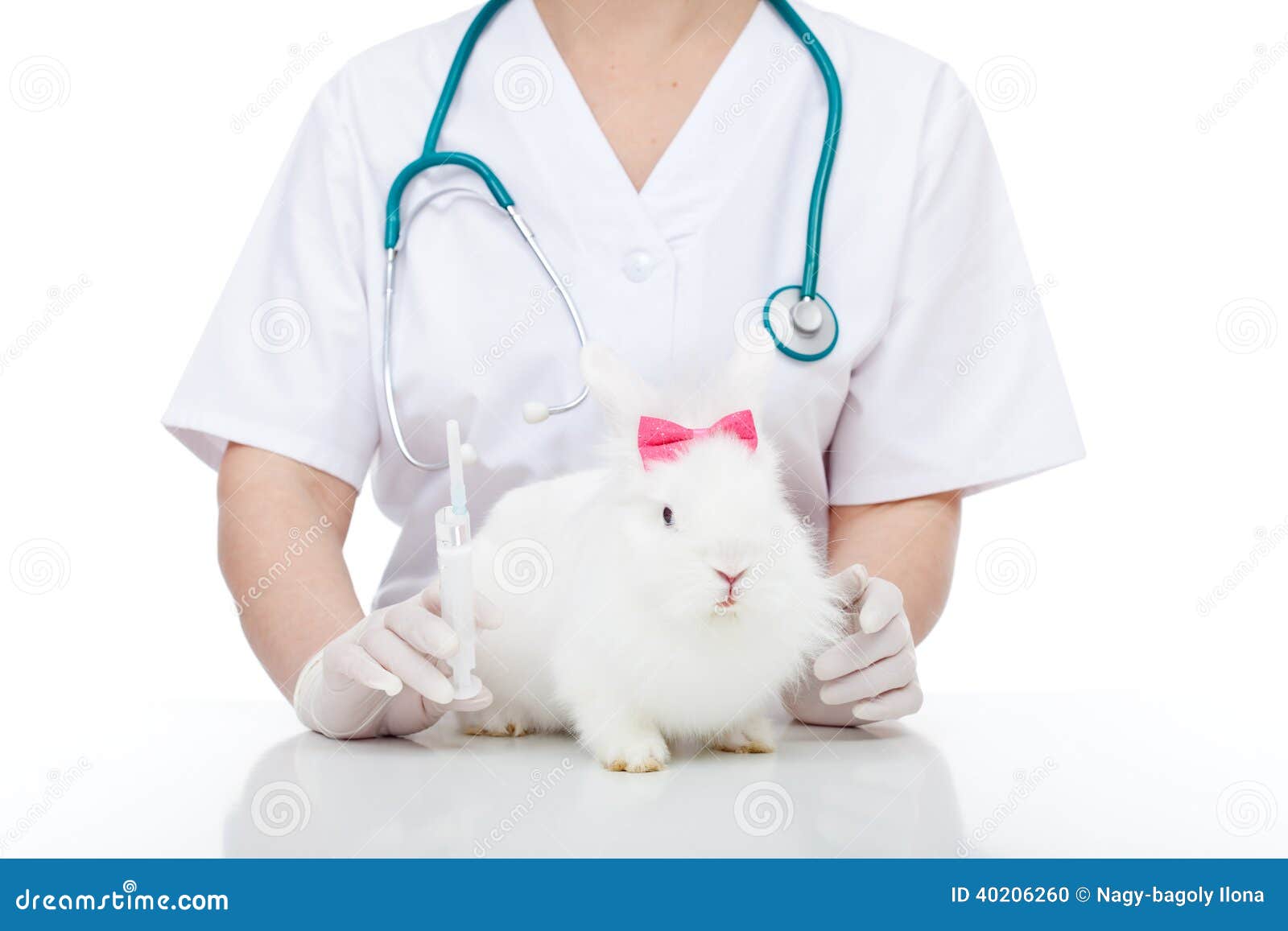 Veterinary Care Concept with Cute White Rabbit Stock Photo - Image of ...