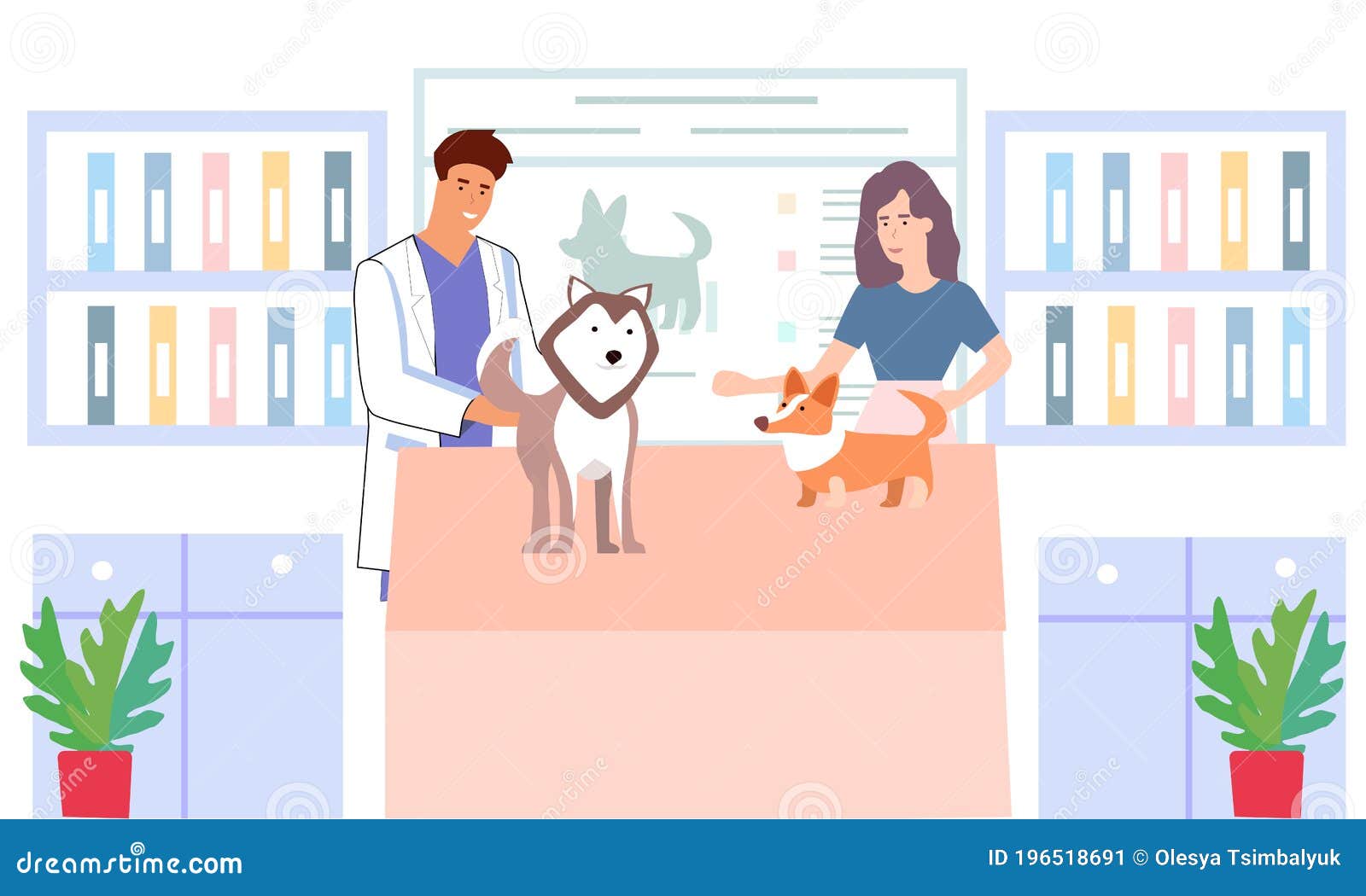 Veterinary Clinic, Doctors Examine Dogs, Vector Graphics Stock Vector ...