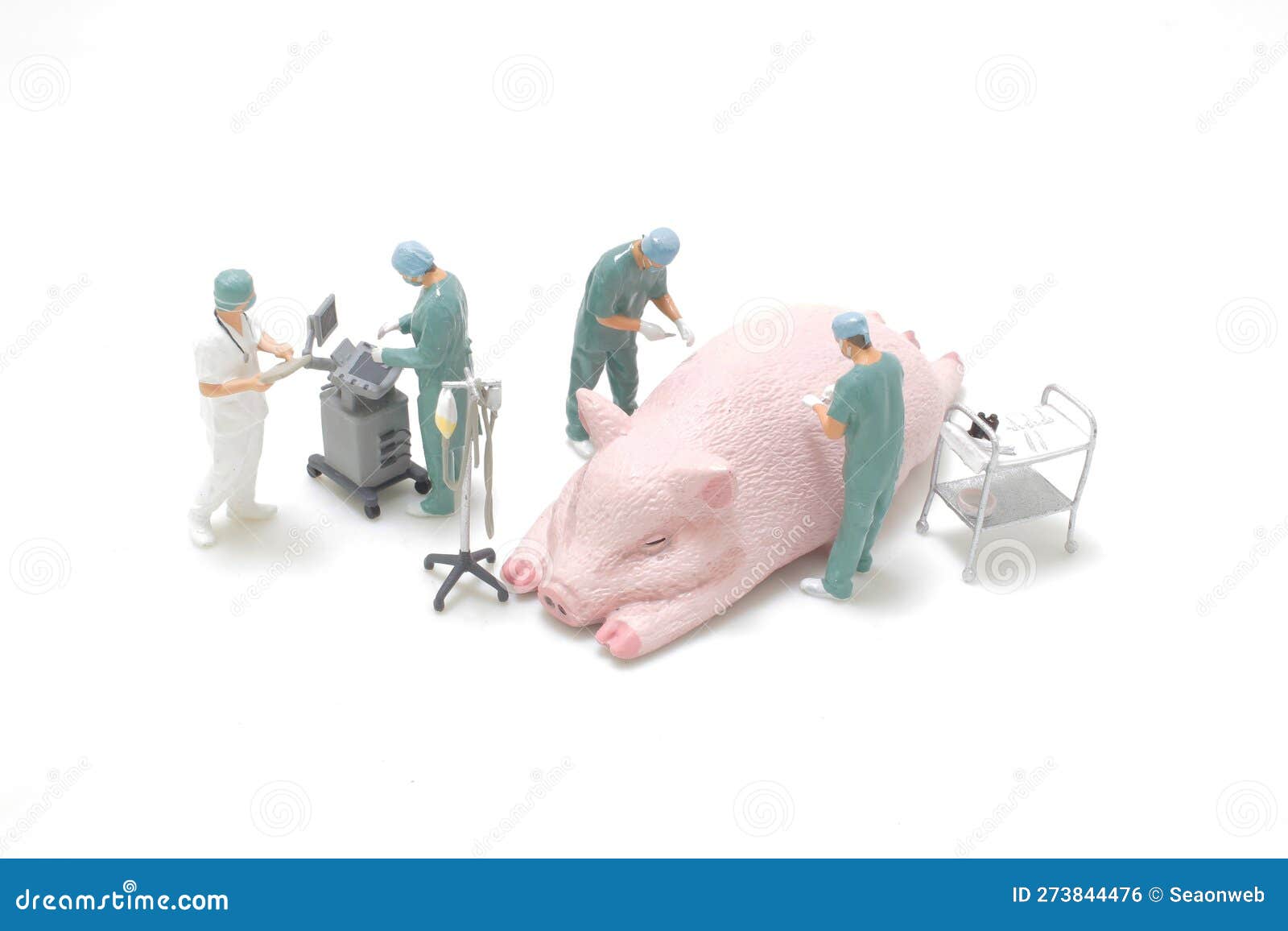 The Veterinary Clinic Surgery, Operation is Performed on Animal Stock ...