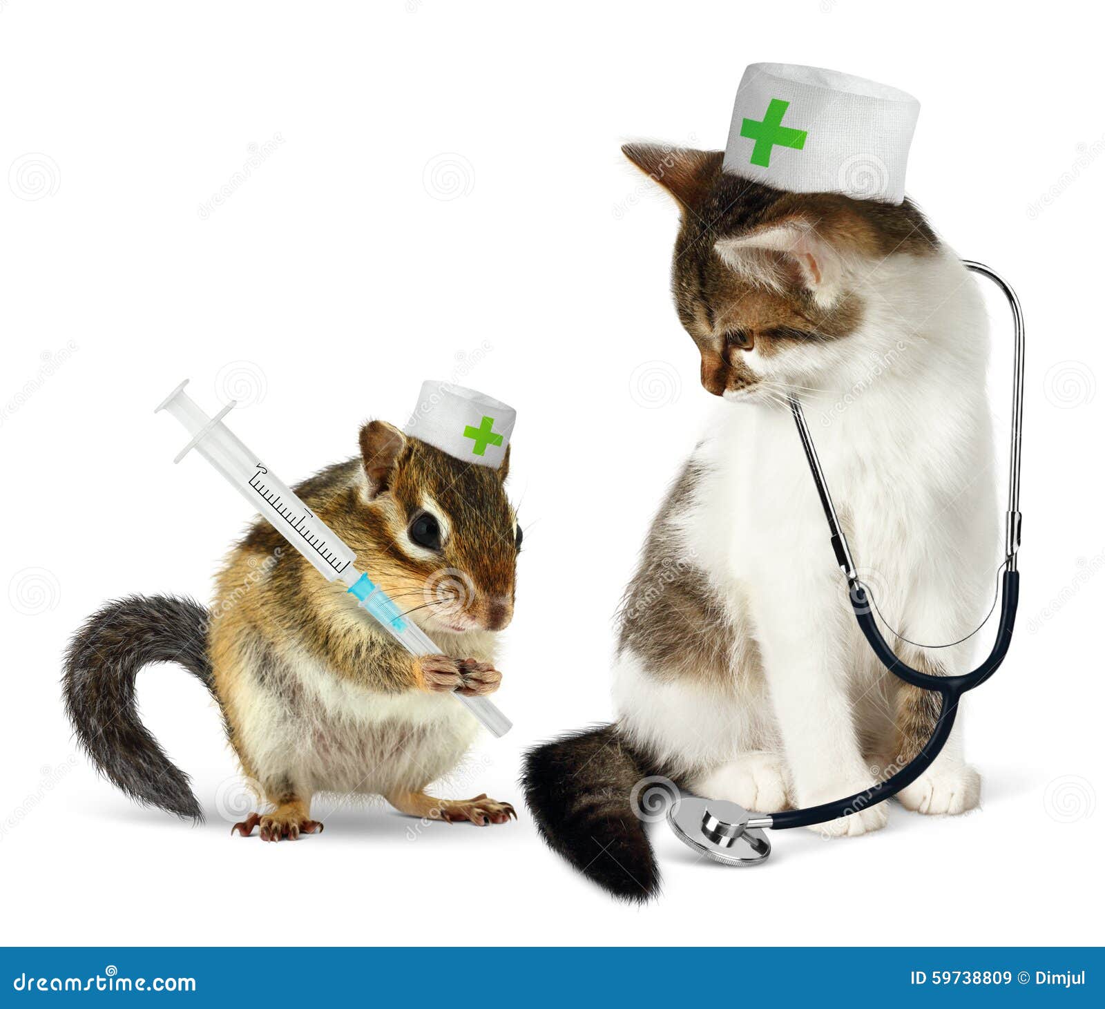 Veterinary Concept, Funny Chipmunk and Cat with Phonendoscope a Stock ...