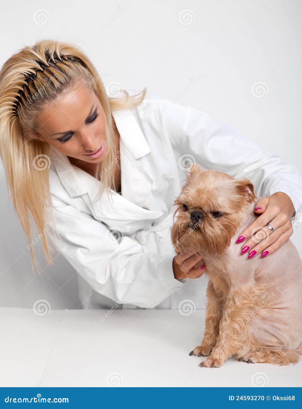 Veterinary Doctor and a Dog Stock Photo - Image of griffon ...