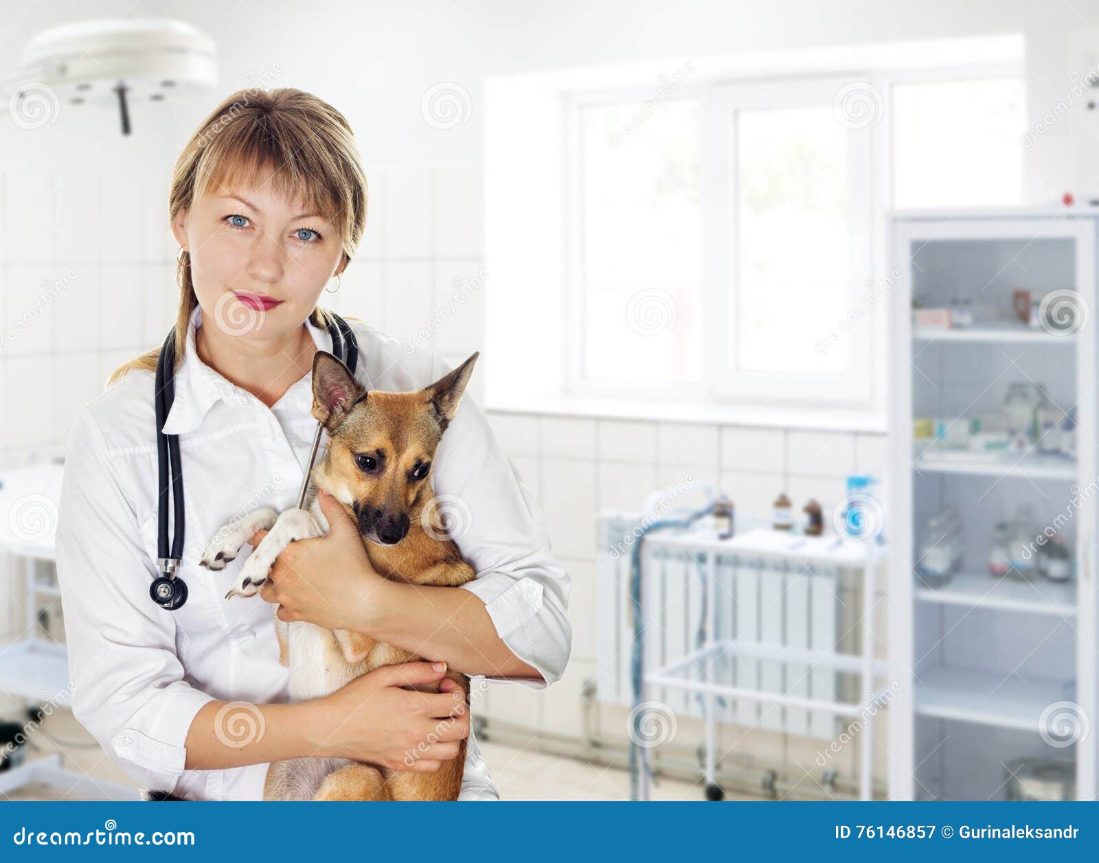 Veterinary doctor and dog stock image. Image of medical - 76146857
