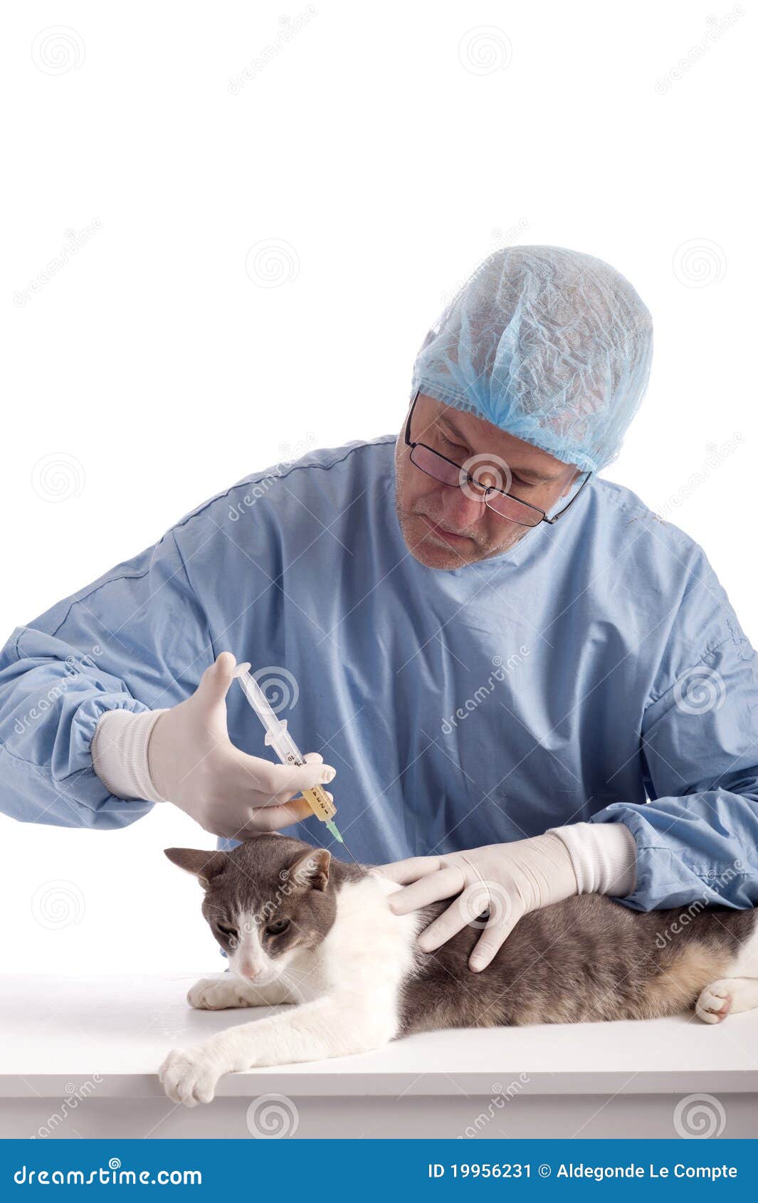 Veterinary Giving An Injection At A Cat Stock Image - Image: 19956231