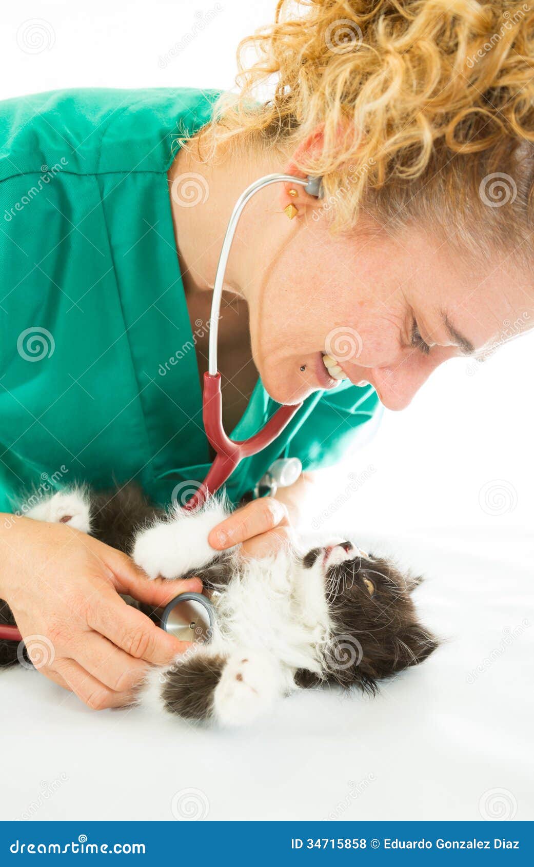 Veterinary with kitten stock photo. Image of sick, girl - 34715858