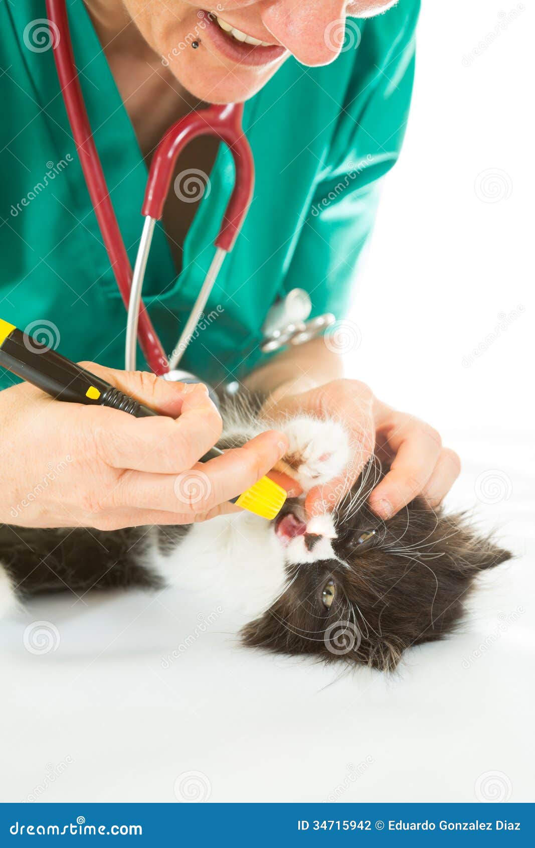 Veterinary with kitten stock photo. Image of baby, emergency - 34715942
