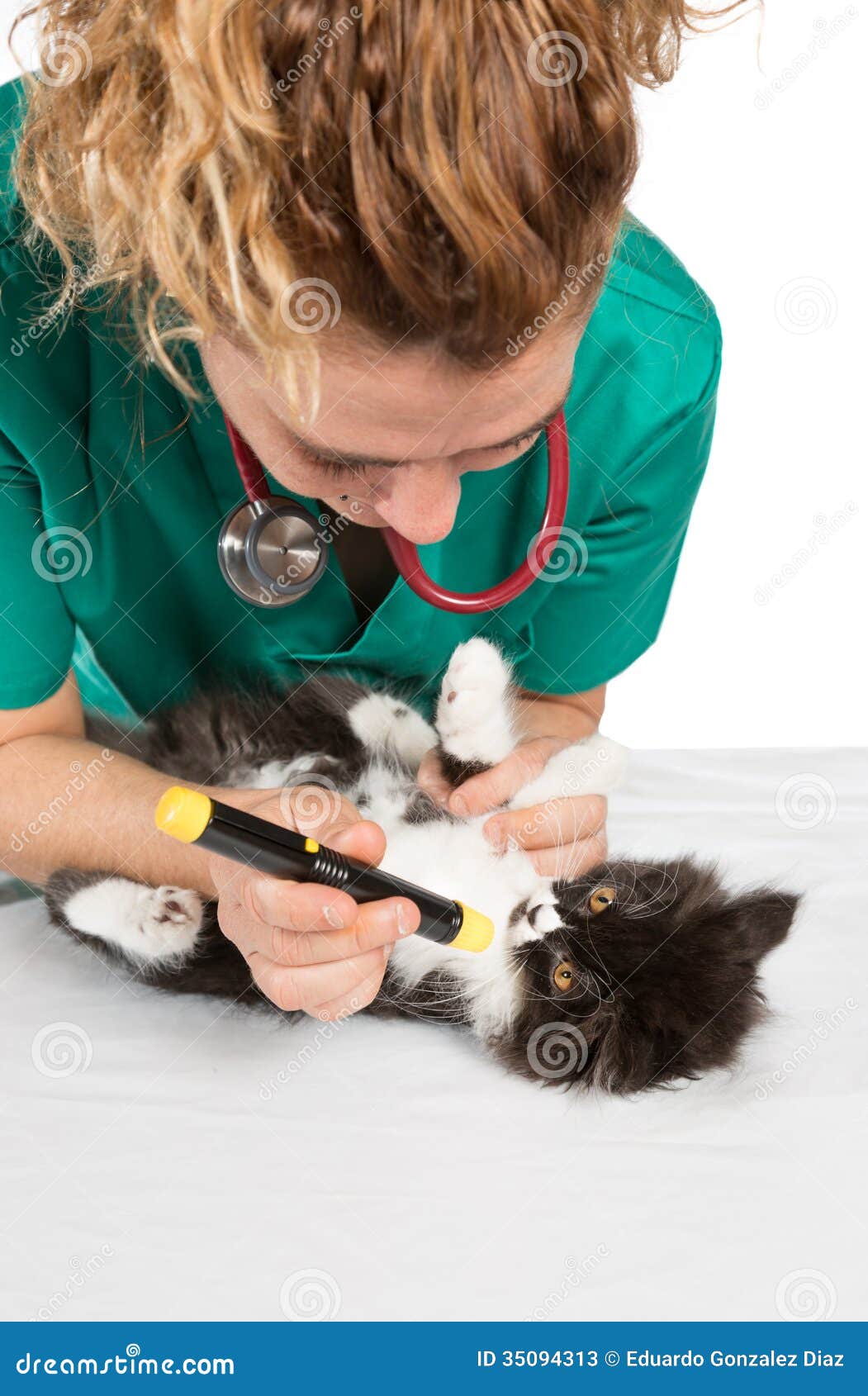 Veterinary with kitten stock image. Image of stethoscope - 35094313