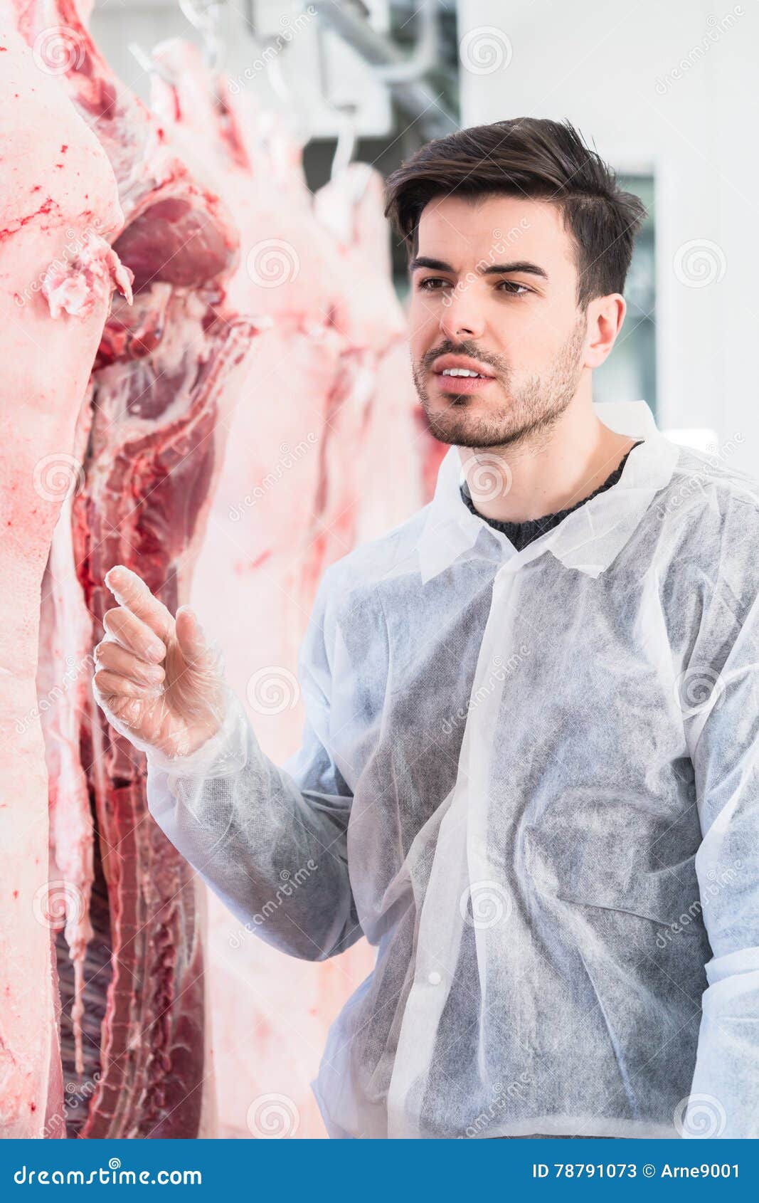 Veterinary at Meat Inspection in Slaughterhouse Stock Image - Image of ...