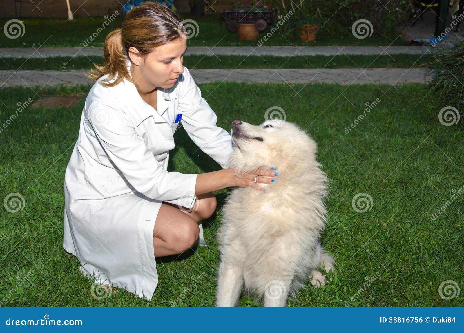 Veterinary Technician stock photo. Image of veterinary - 38816756