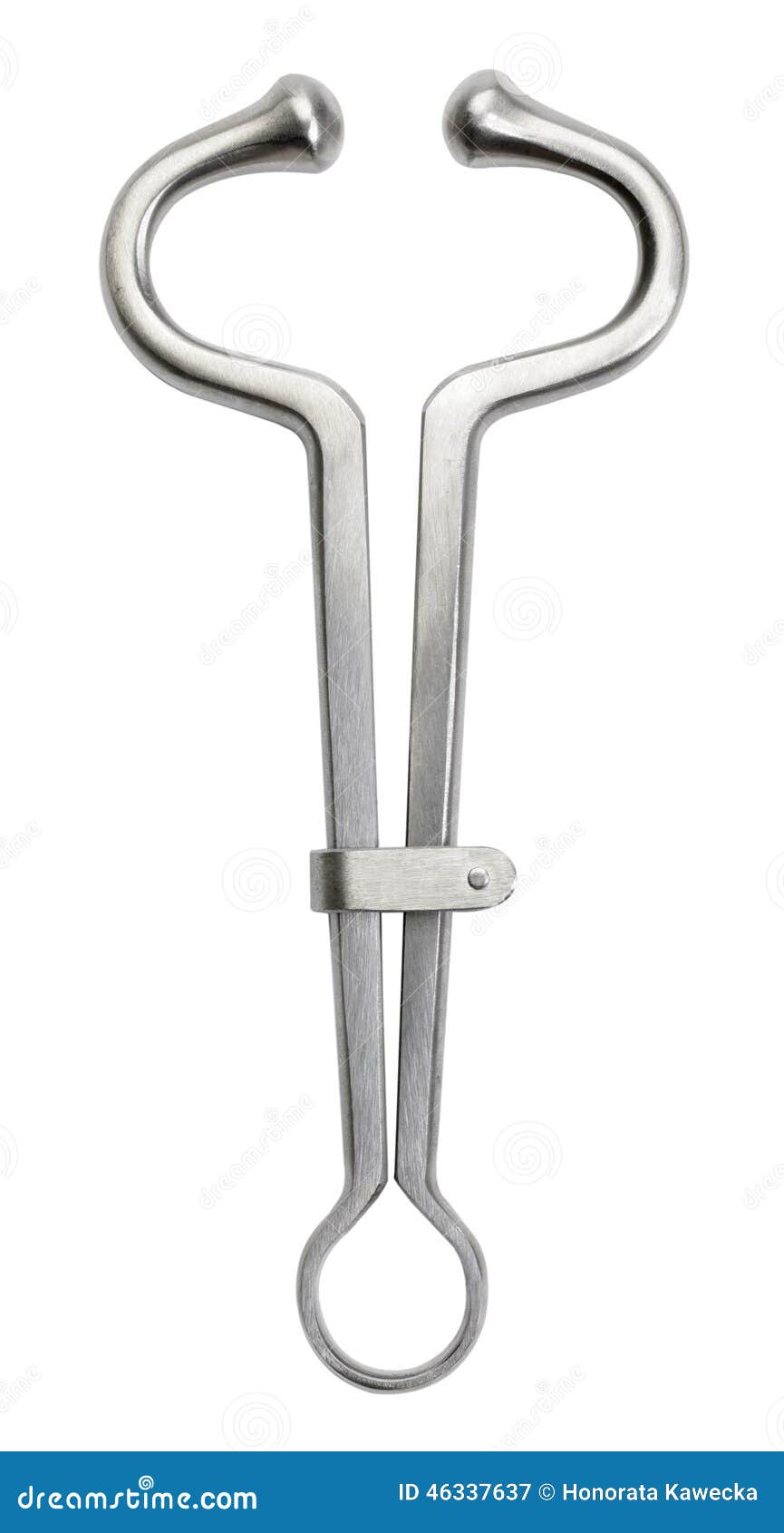 Veterinary tool stock image. Image of care, metalic, cattle - 46337637