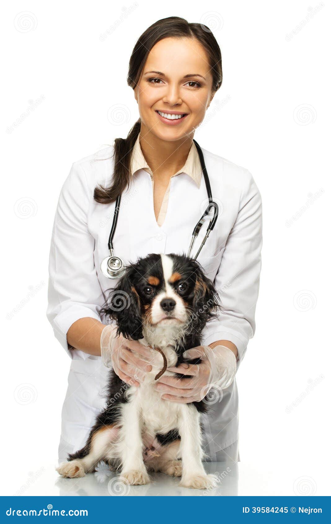 Veterinary Woman with Spaniel Stock Image - Image of nurse, hospital ...