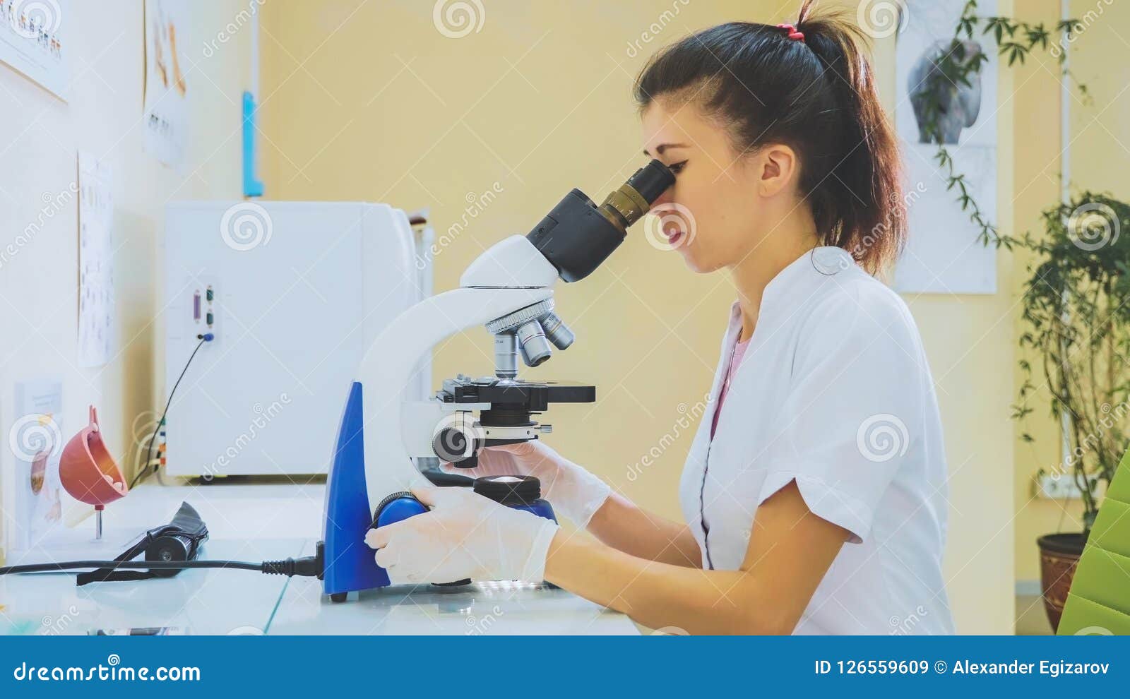 Veterinary Worker Using Microscope for Testing Blood Samples of Animals ...