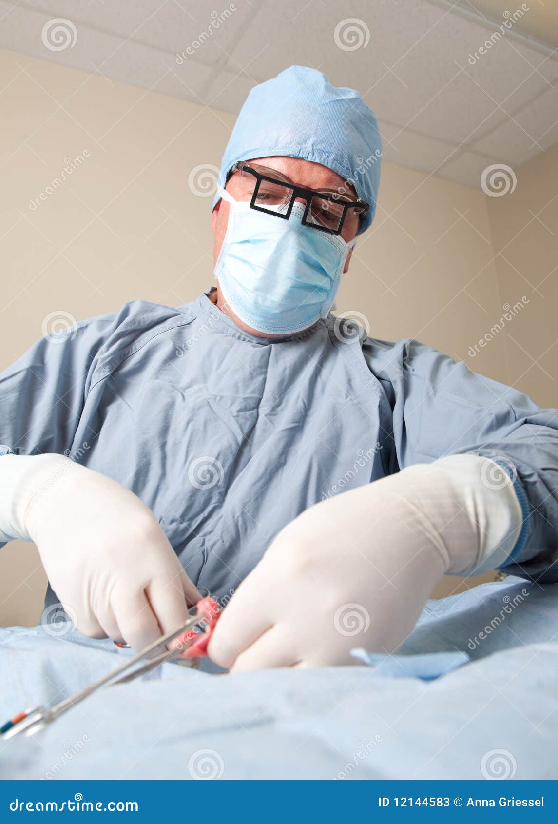 Veterniarian Performing Spay Operation on Dog Stock Image - Image of ...