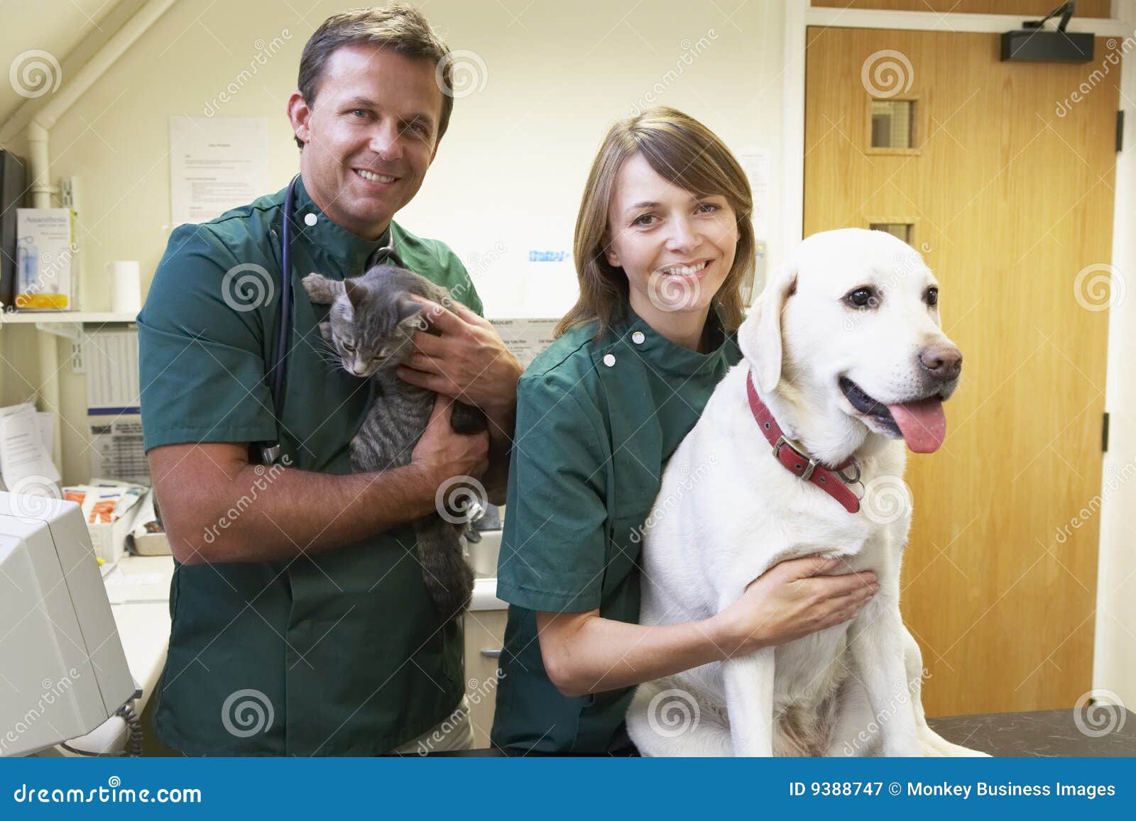 Vetinary Staff with Dog and Cat in Surgery Stock Image - Image of ...