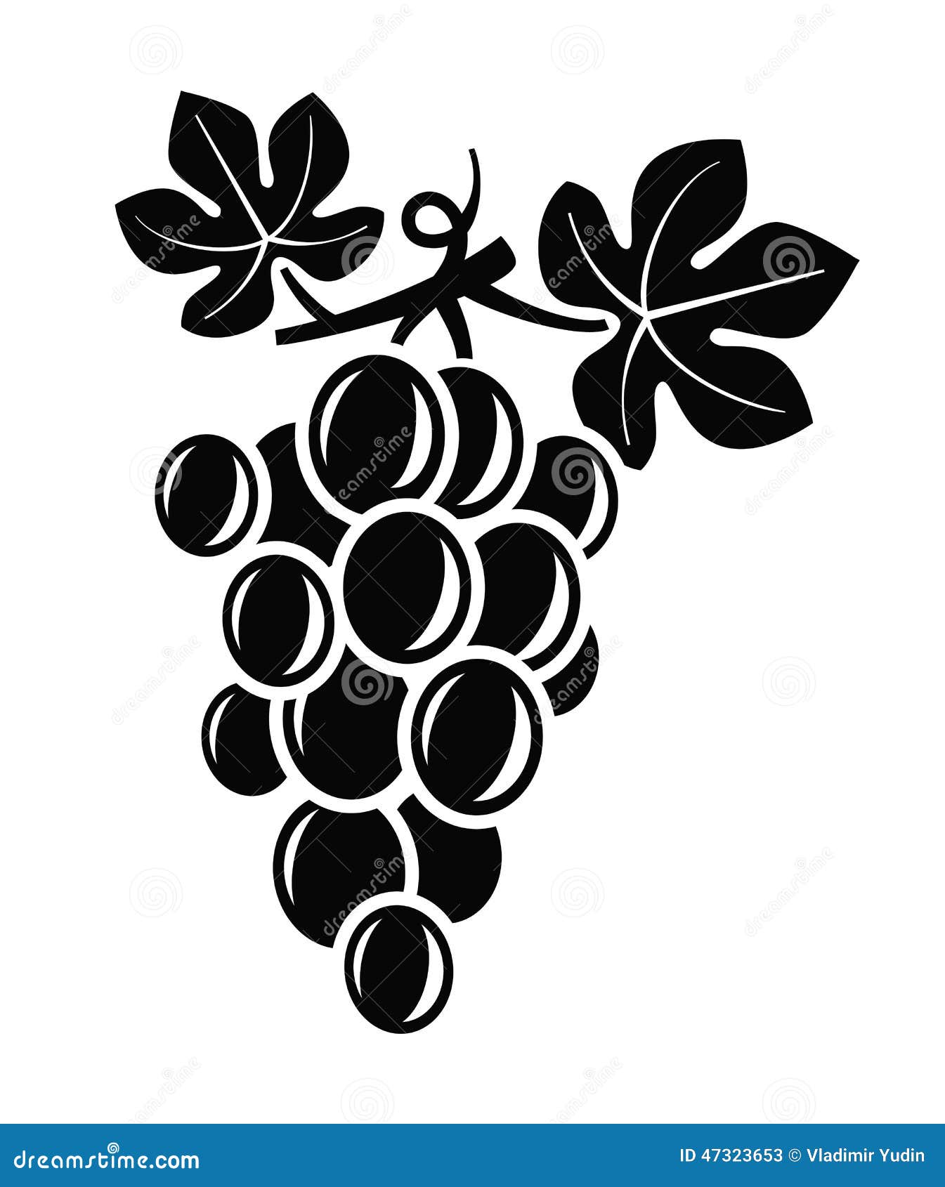 Vetor das uvas ilustração do vetor. Ilustração de colheita - 47323653