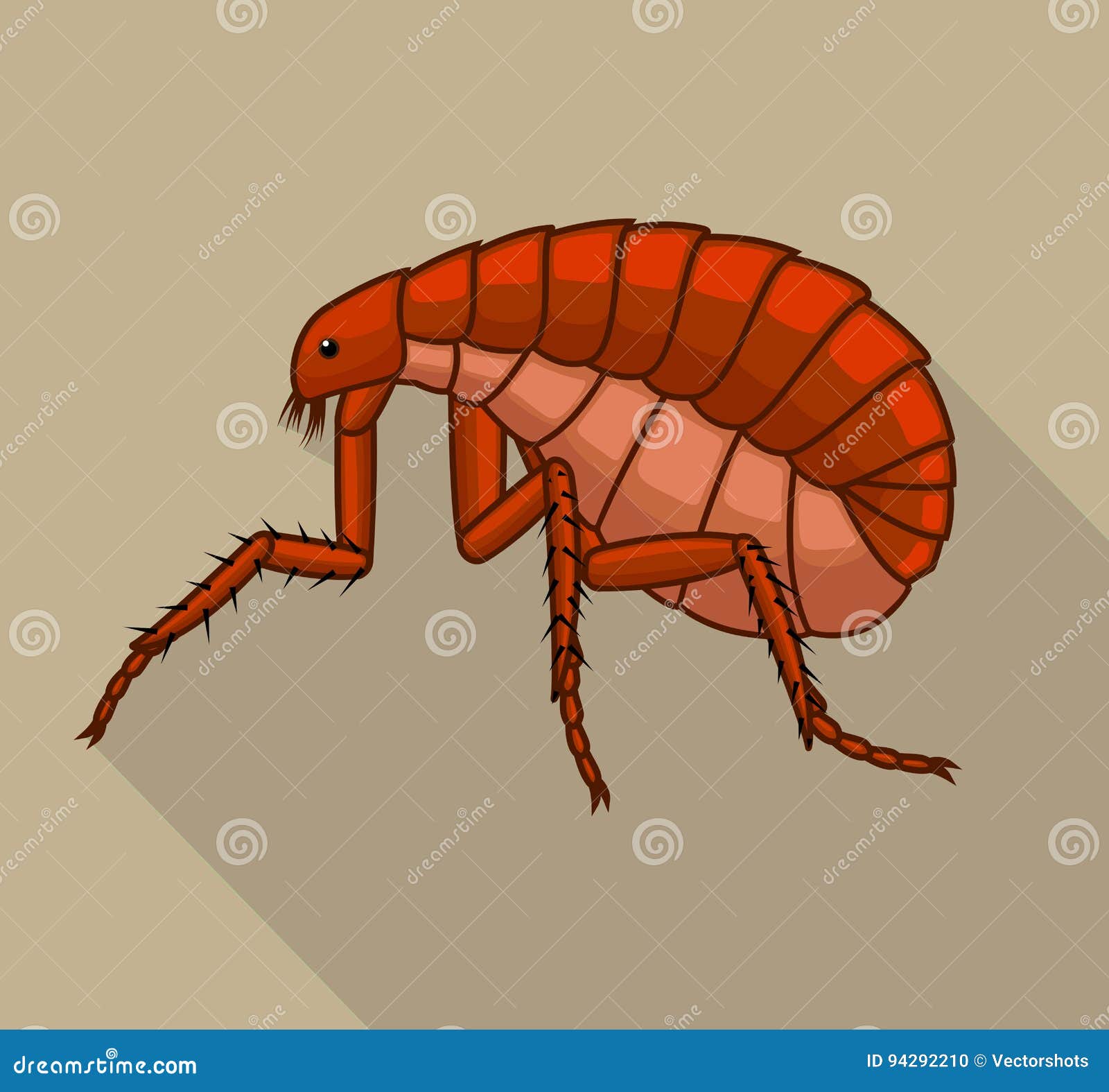 Vetor de inseto da pulga ilustração do vetor. Ilustração de arrepiante ...
