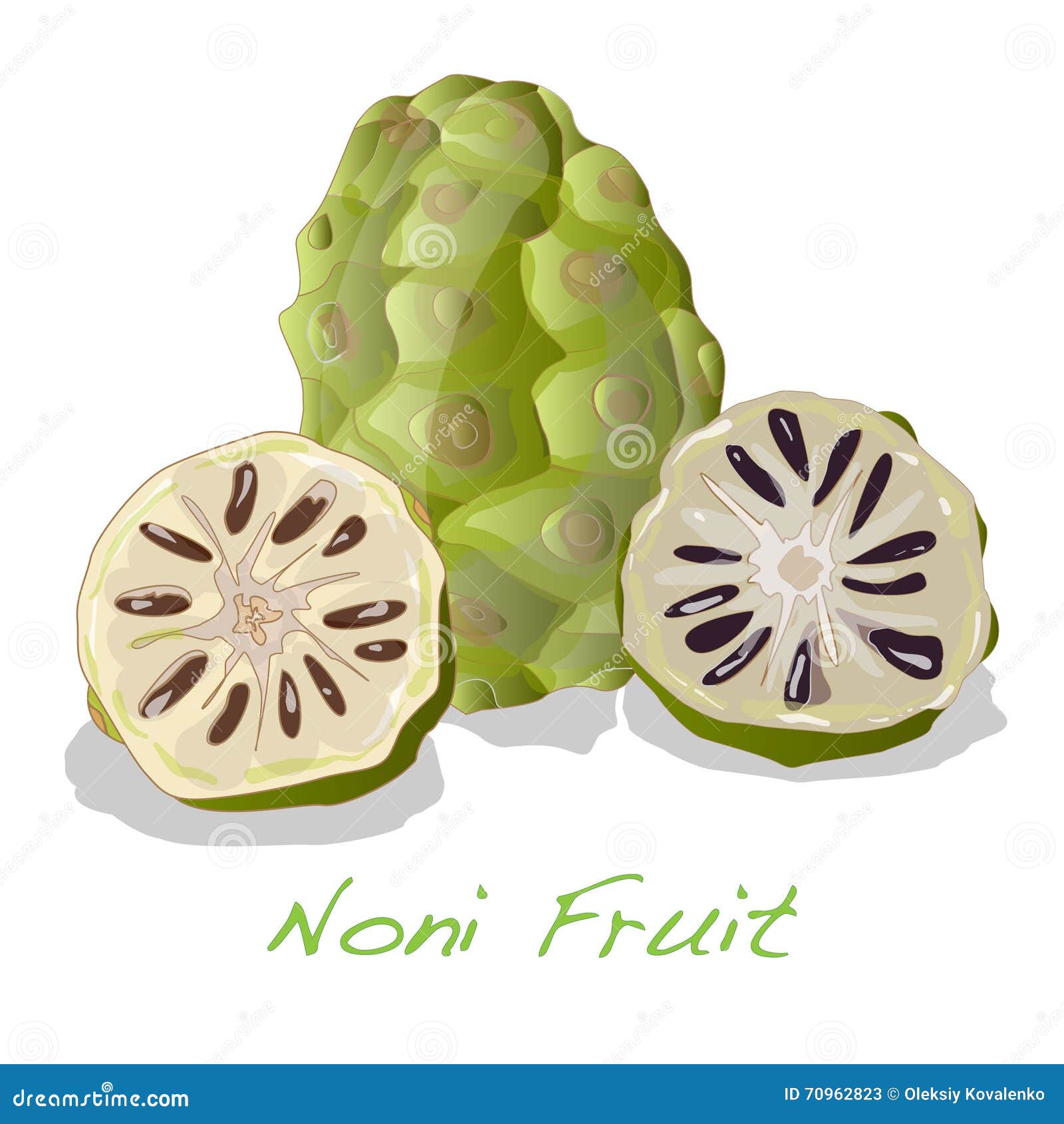 Vetor de Noni ilustração do vetor. Ilustração de nave - 70962823