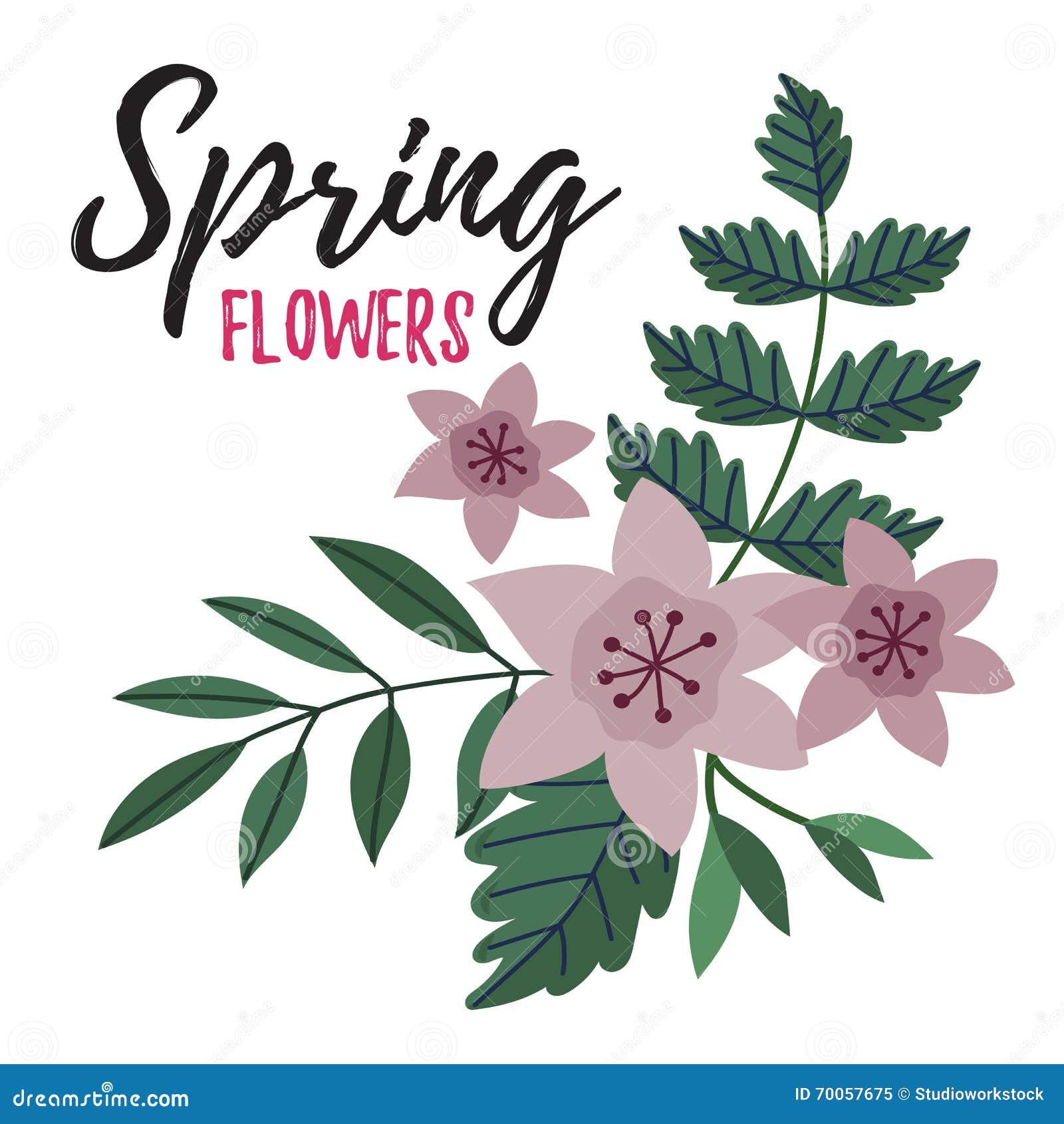 Vetor isolado flores ilustração do vetor. Ilustração de floral - 70057675