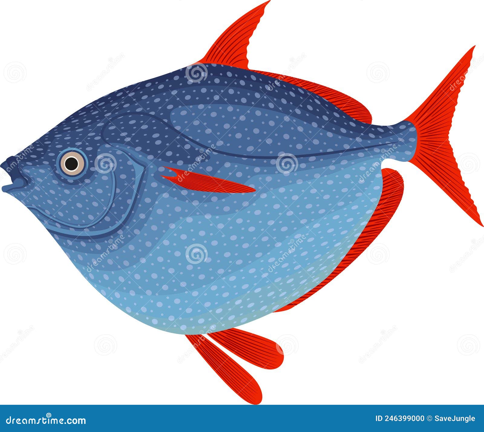 Sunfish Or Moonfish Illustration, Drawing, Engraving, Ink, Line Art ...