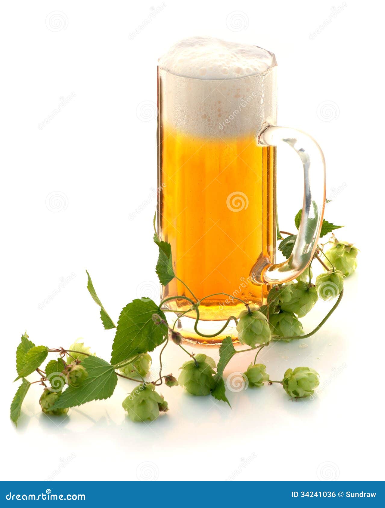 Vetro Della Pianta Del Luppolo E Della Birra Fotografia Stock ...