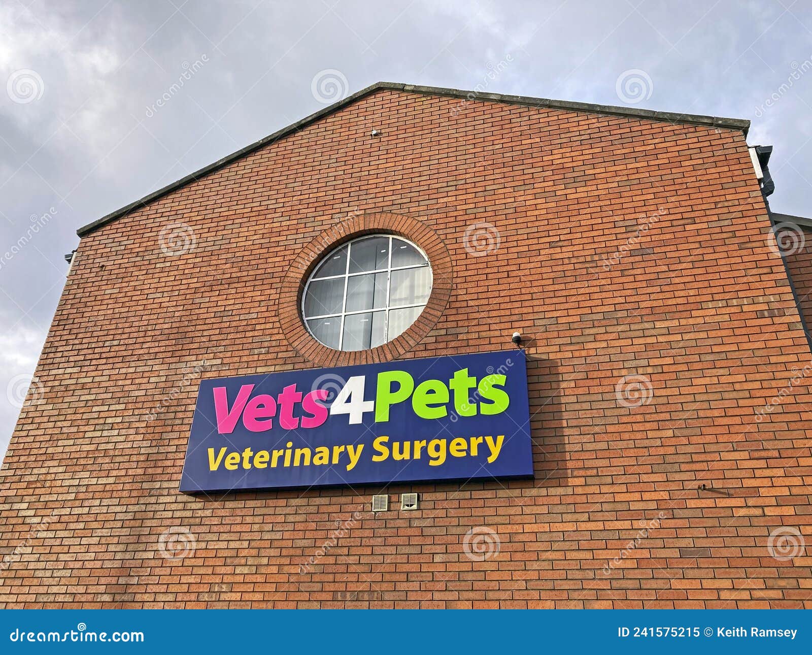 Vets4Pets editorial image. Image of somerset, veterinarians - 241575215