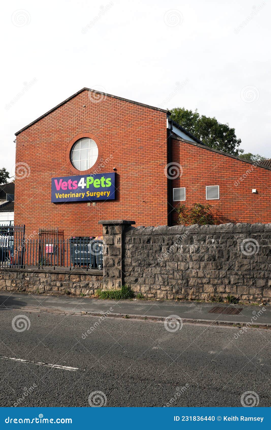 Vets4Pets editorial image. Image of animal, north, mare - 231836440