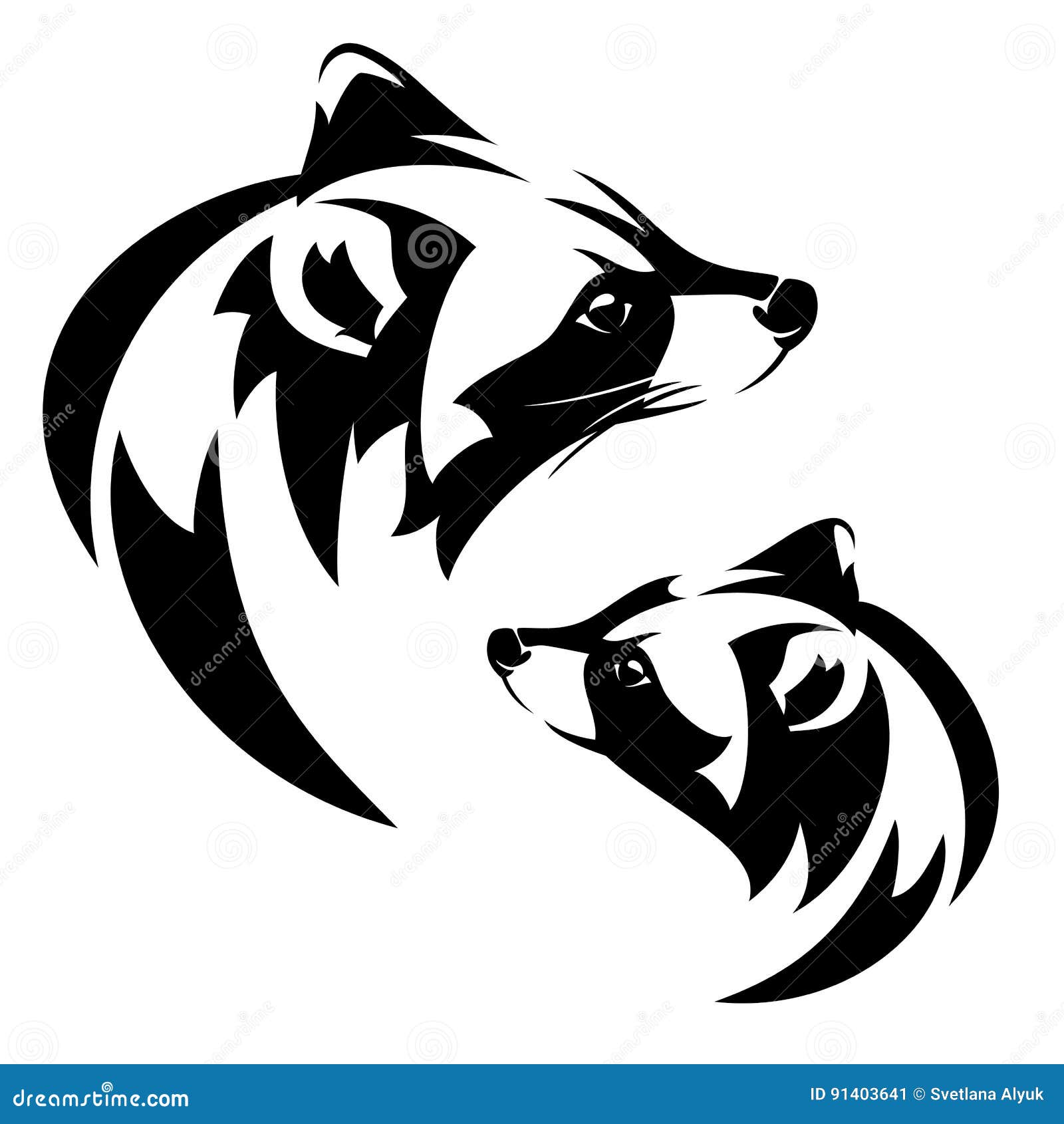 Vettore in Bianco E Nero Della Testa Di Profilo Del Procione ...