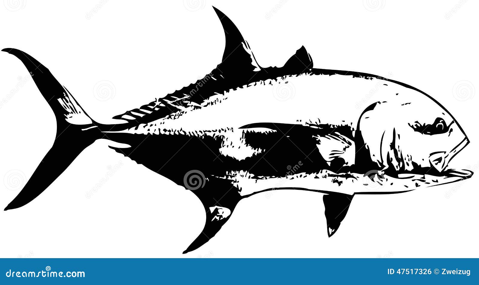 Vettore Del Pesce Di Jack Crevalle Illustrazione Vettoriale ...