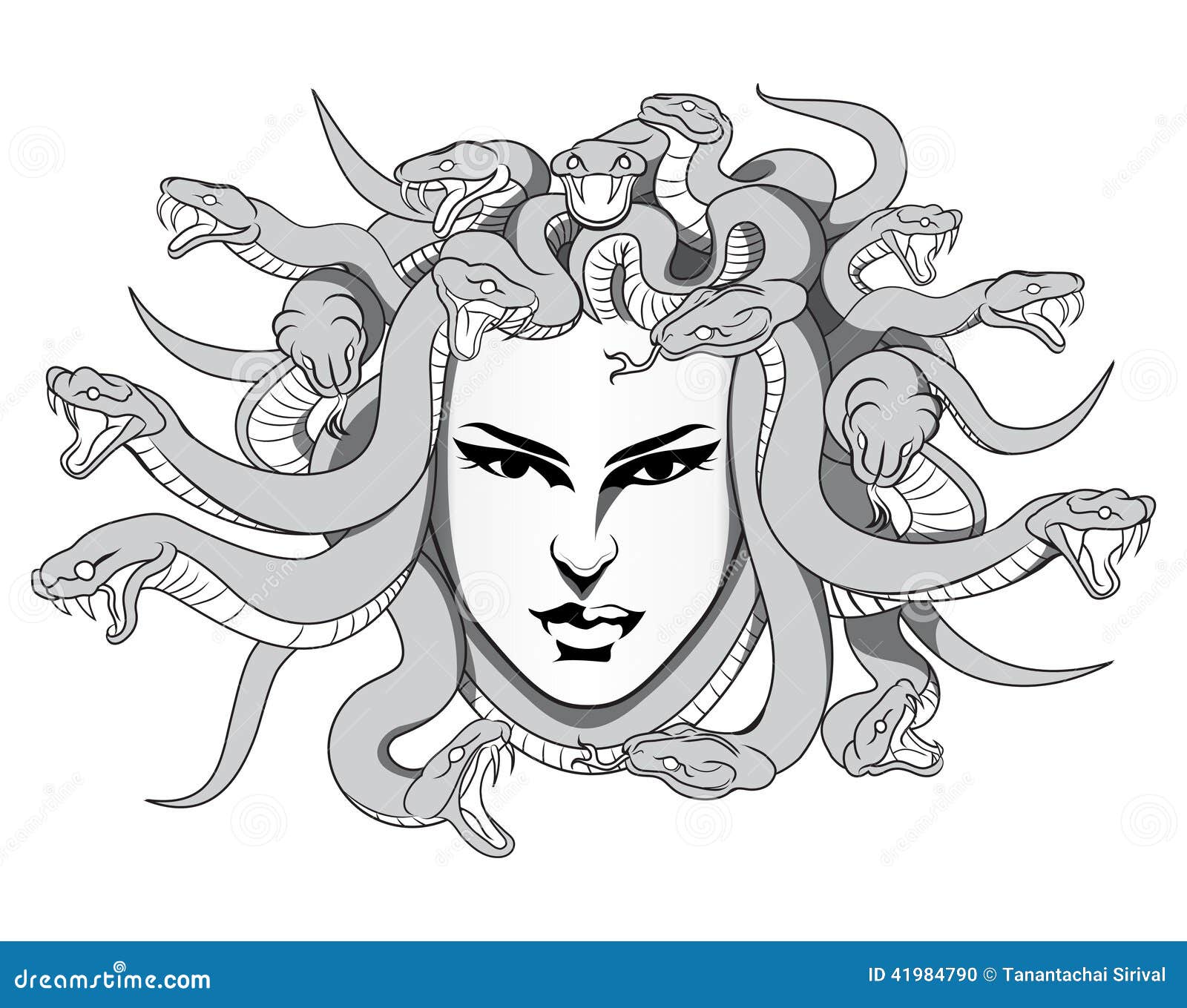 Vettore della medusa illustrazione vettoriale. Illustrazione di nave ...