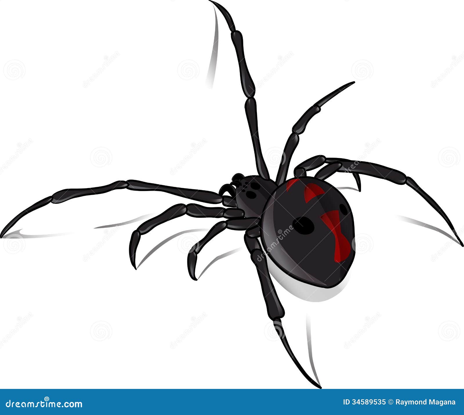 Vettore 2 Della Vedova Nera Illustrazione Vettoriale - Illustrazione di ...