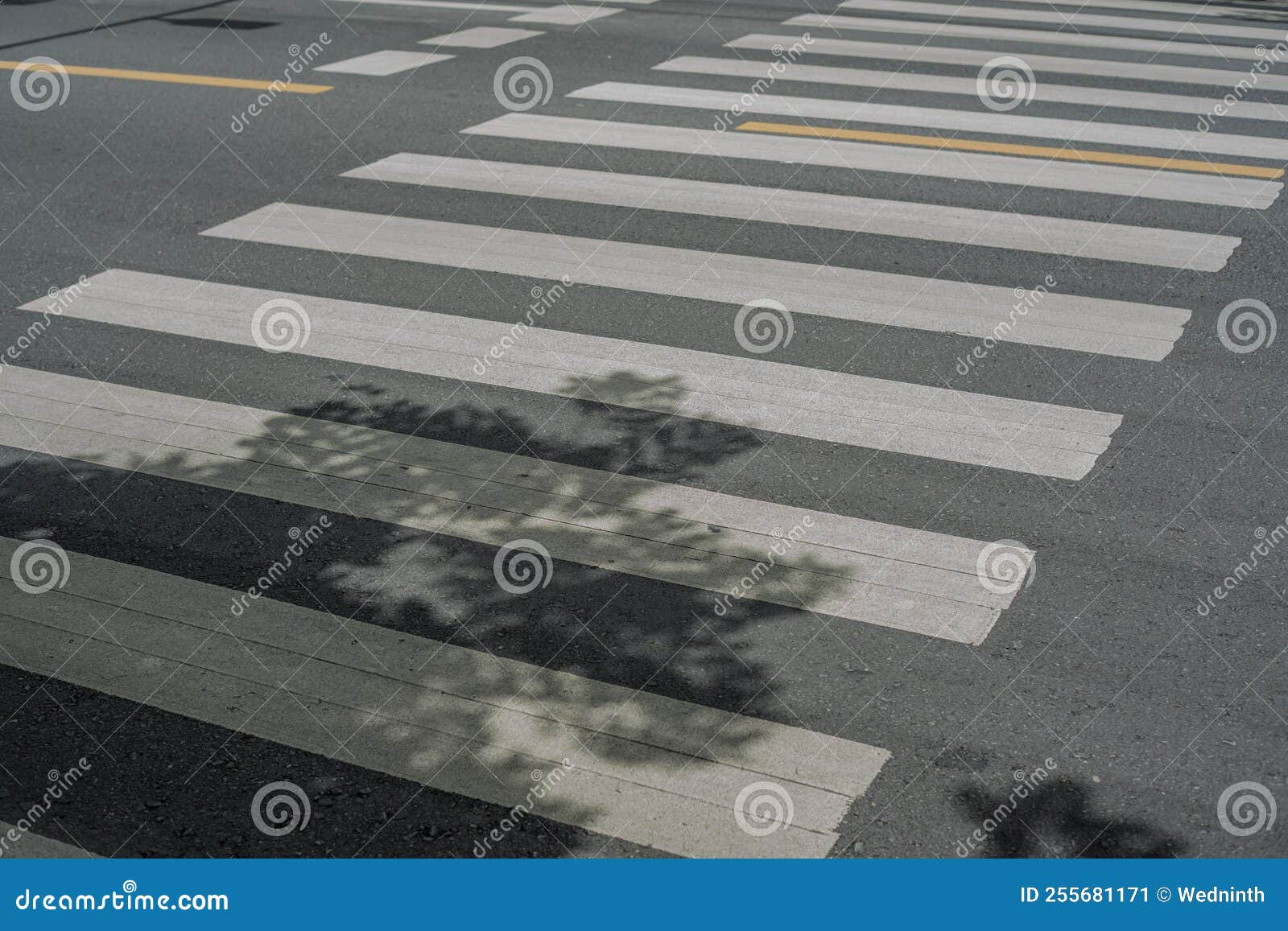 Via De Pedestres Na Travessia De Uma Rua Imagem de Stock - Imagem de ...