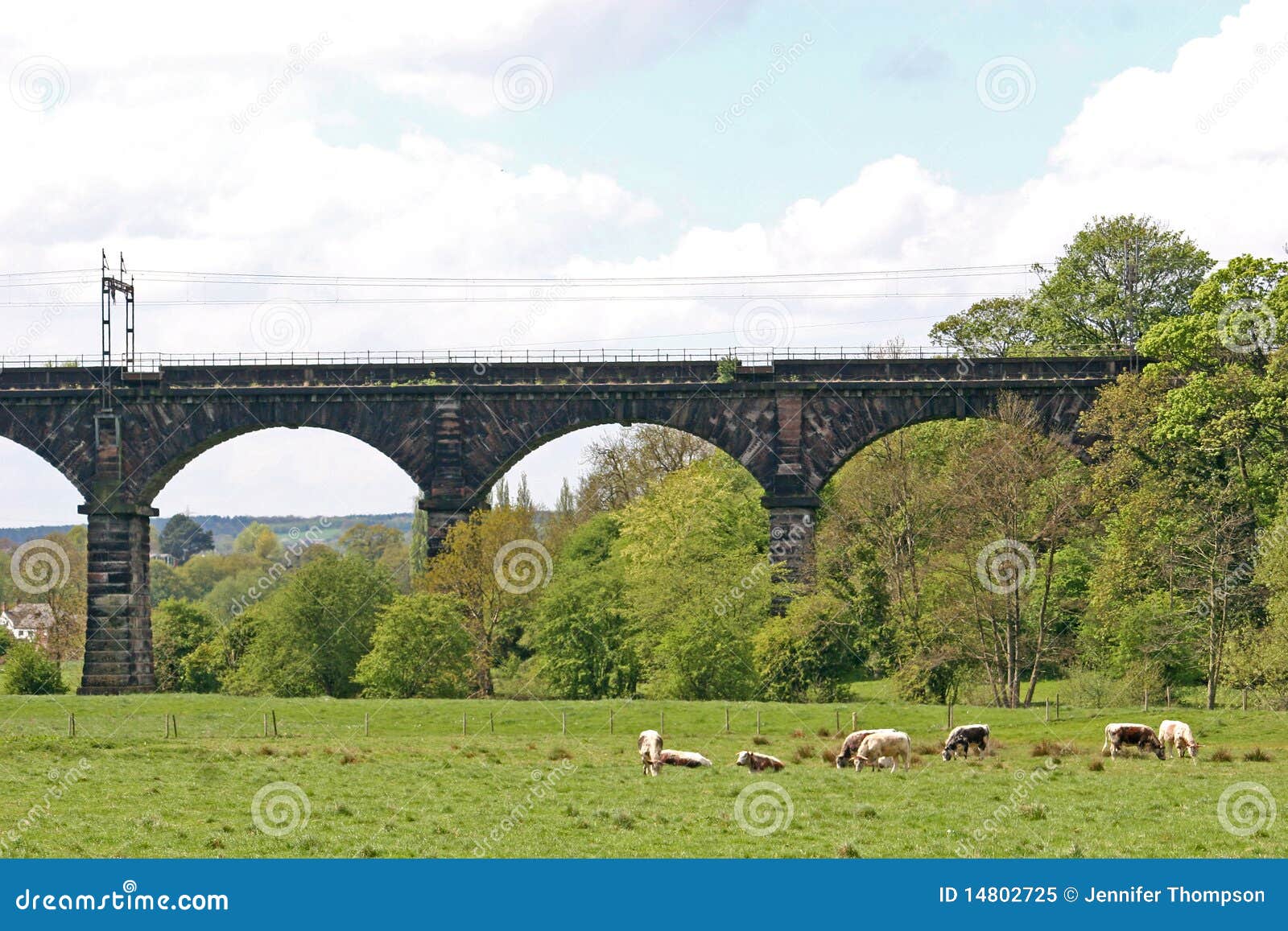 Viaduct stock image. Image of meadow, arch, bridge, cheshire - 14802725