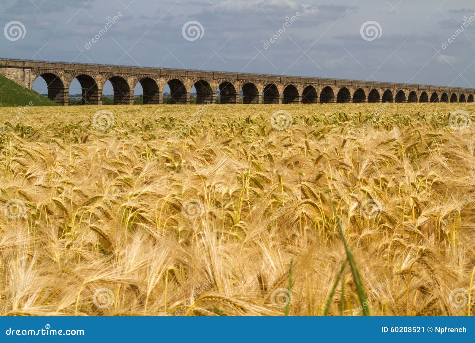 Viaduct and wheat field stock image. Image of landmark - 60208521