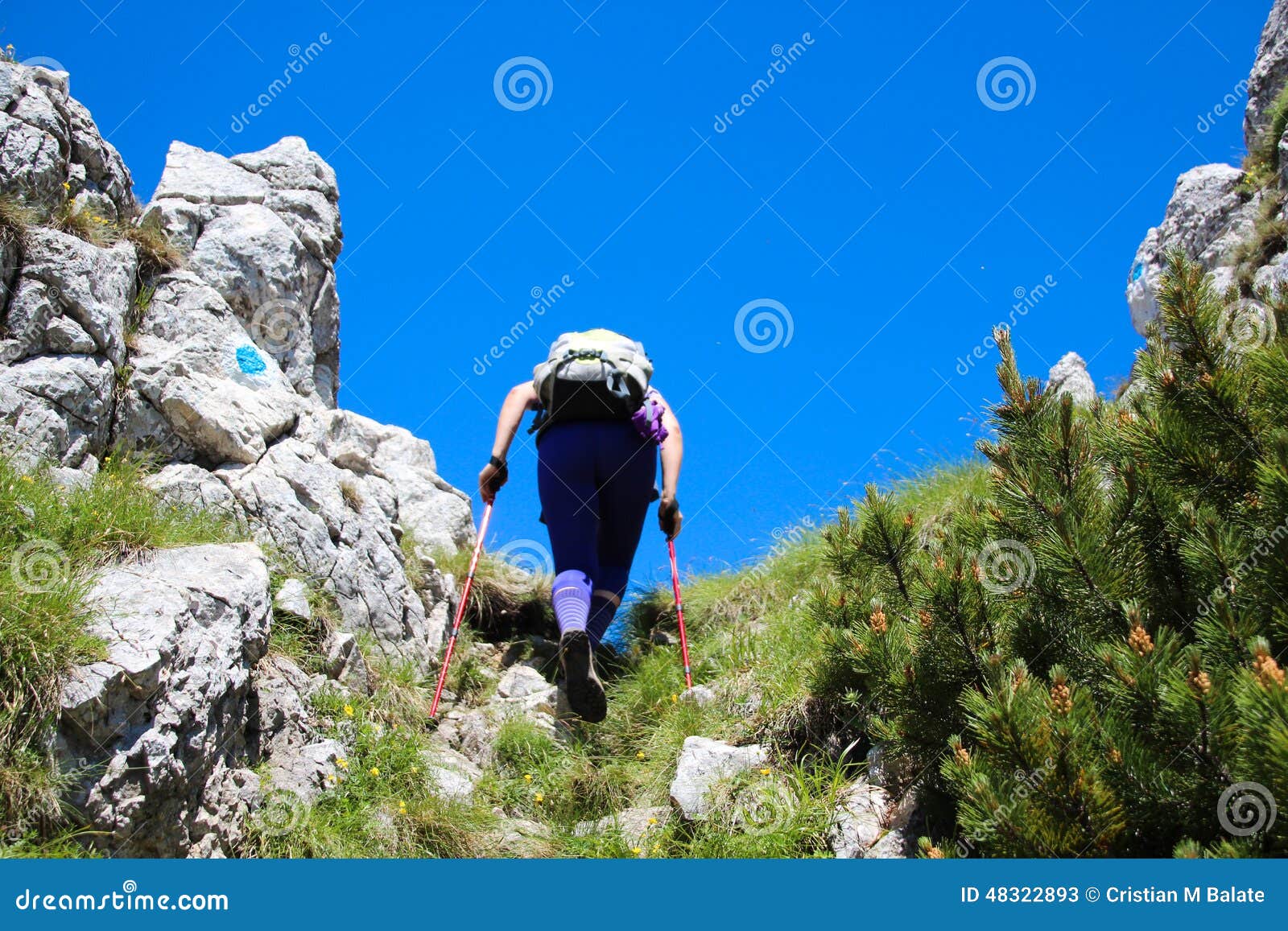 Viaggiatore della montagna immagine stock. Immagine di romania - 48322893