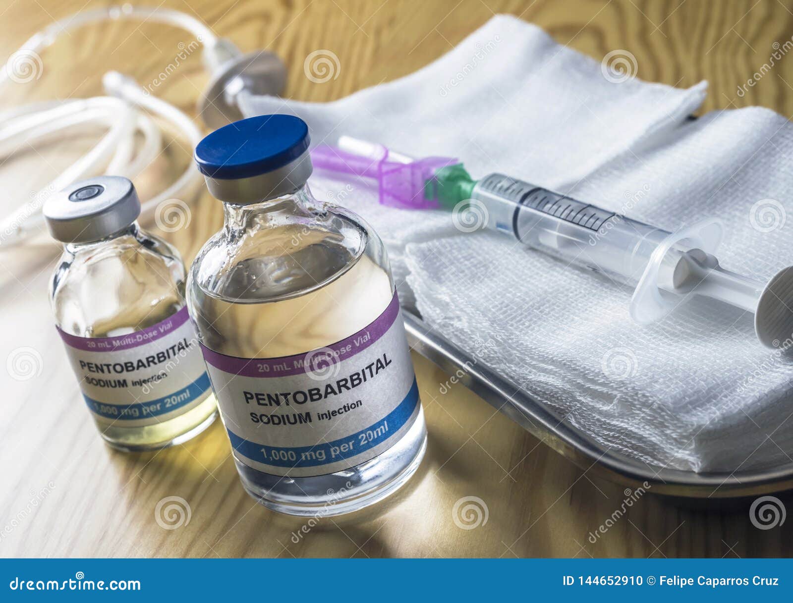Vial with Pentobarbital Used for Euthanasia and Lethal Inyecion in a ...
