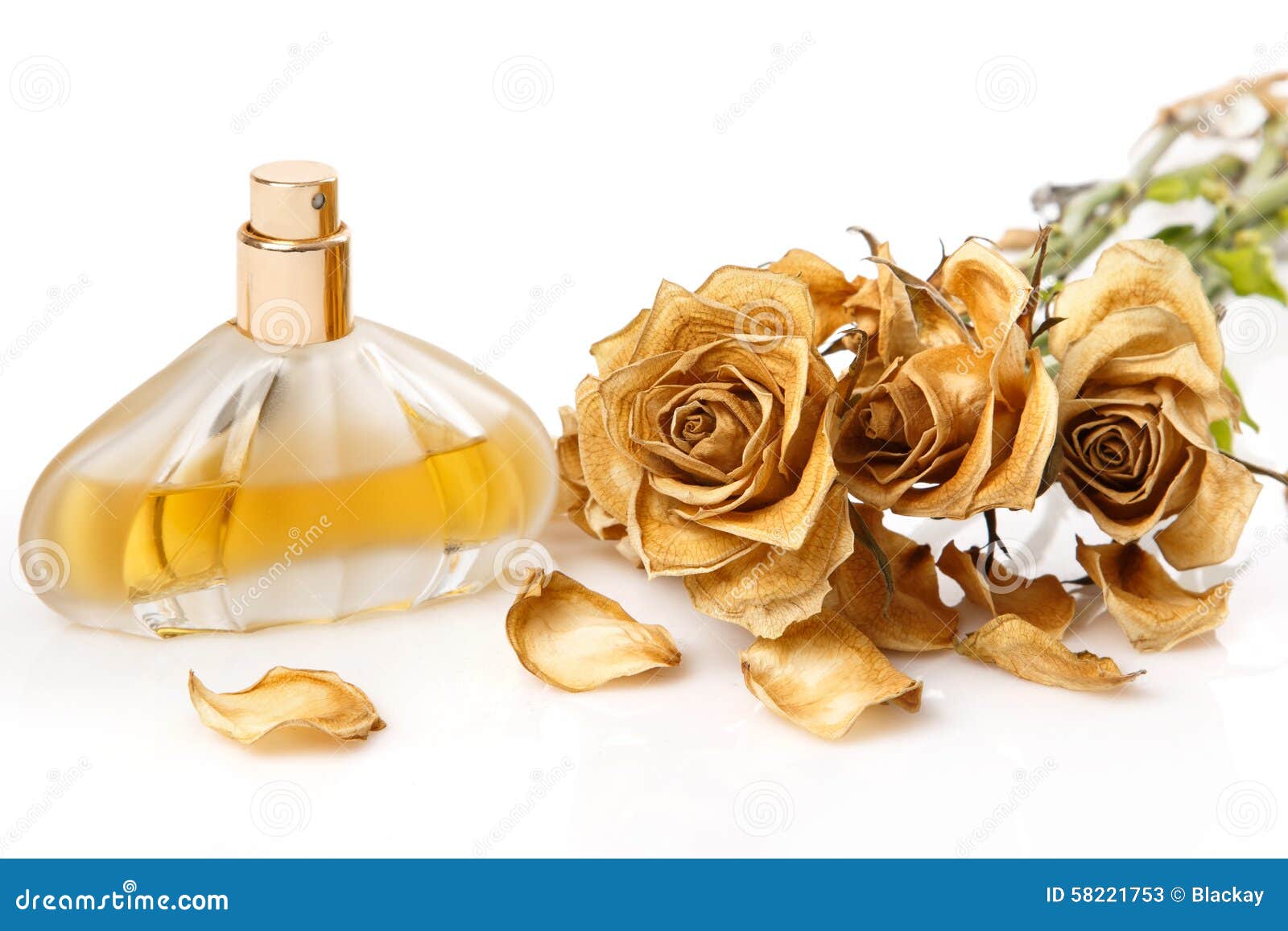 Vial of Perfume and Dry Rose Flower Stock Image - Image of flower, gift ...