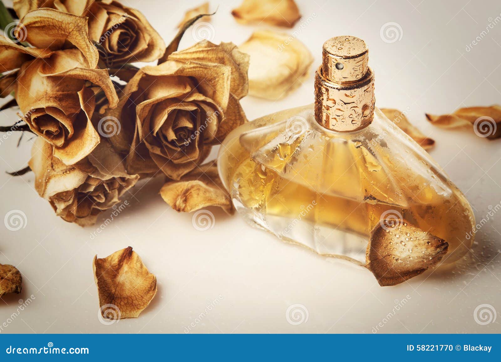 Vial of Perfume and Dry Rose Flower Stock Photo - Image of background ...