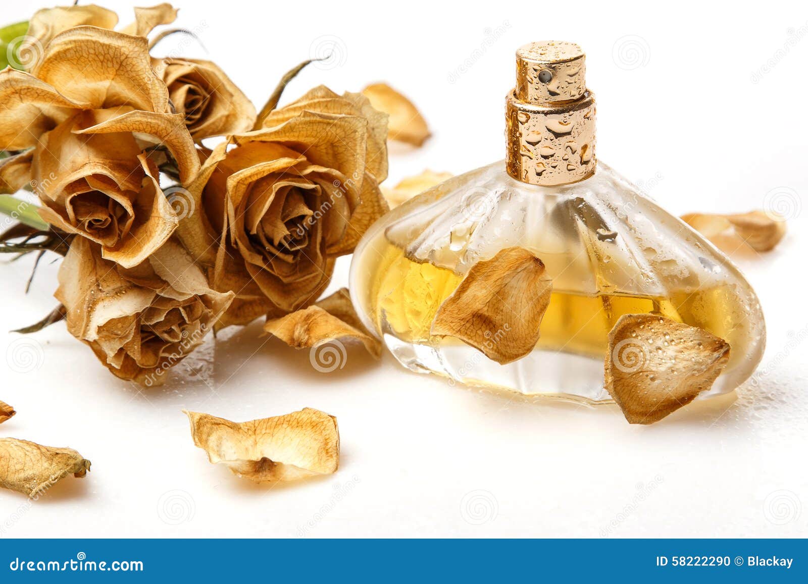 Vial of Perfume and Dry Rose Flower Stock Photo - Image of antique ...