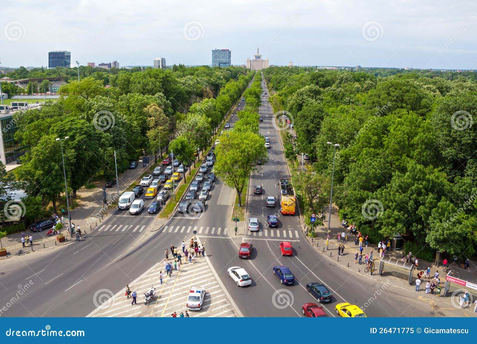 Viale di Kiseleff immagine editoriale. Immagine di aria - 26471775