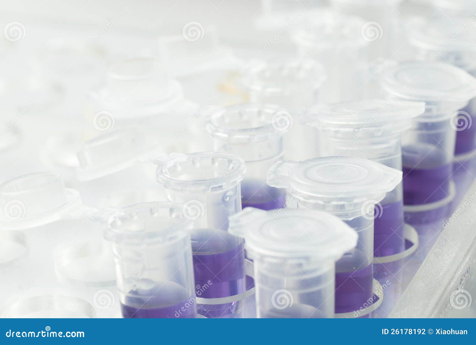 Vials stock photo. Image of modern, blue, liquid, experiment - 26178192