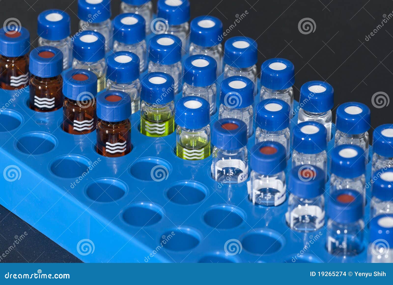Vials on rack stock photo. Image of test, medical, glass - 19265274