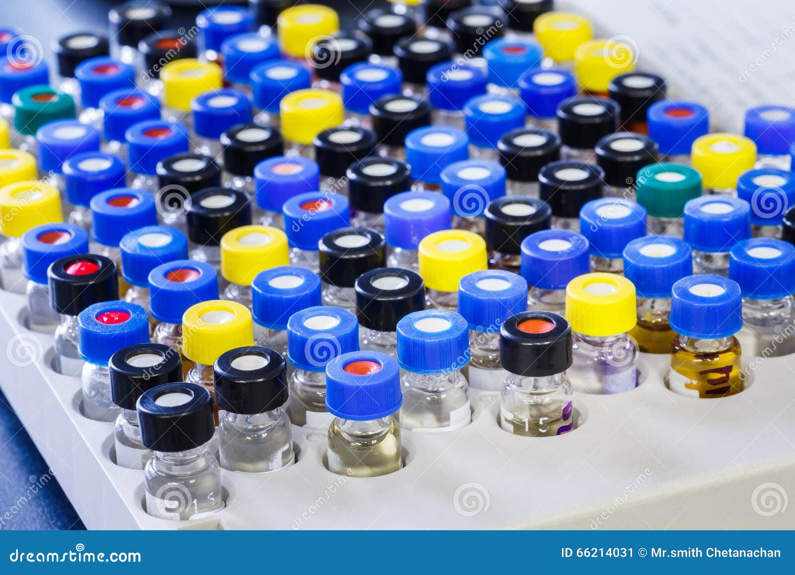Vials in rack stock image. Image of gcms, chemistry, chemical - 66214031