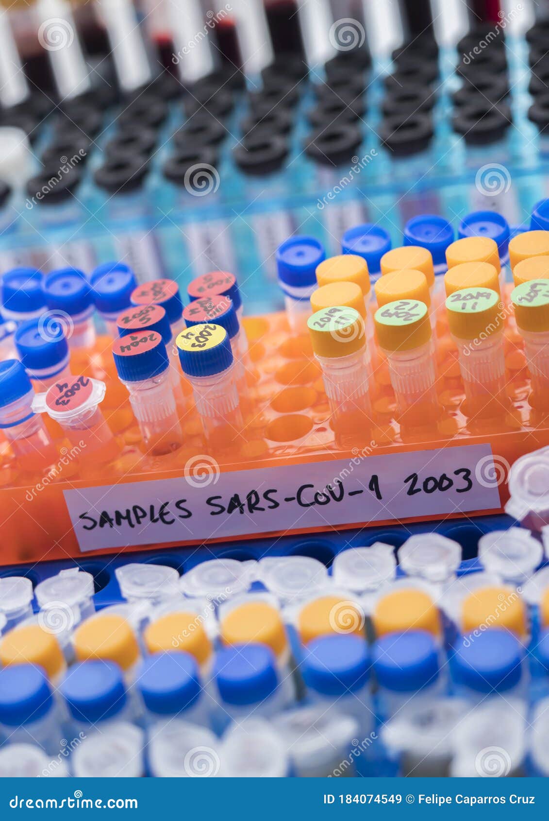 Vials with Samples of SARS-COV-1 Covid-19 in a Research Laboratory ...